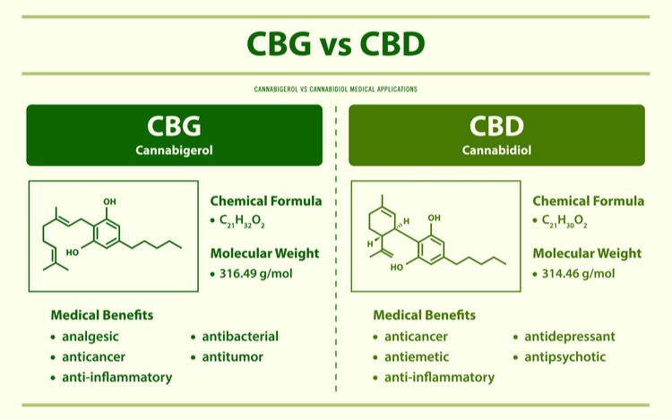 CBG: Todo lo que debes saber sobre este cannabinoide