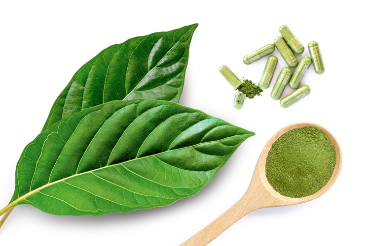 Kratom verde: qué es, efectos, tipos, dosis