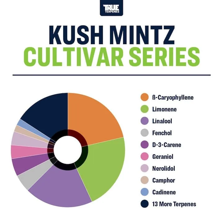 True Terpenes Cultivar Serie Kush Mintz (5 ml - 960 ml)