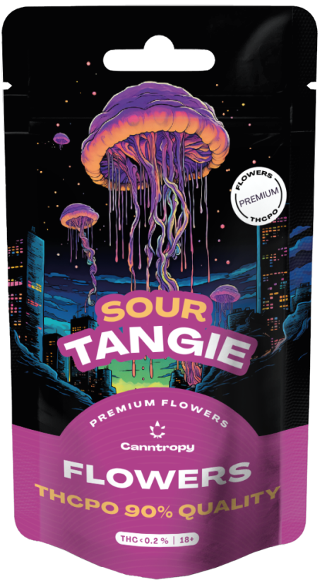 Canntropy THCPO Flower Sour Tangie, THCPO 90% ხარისხის, 1გ - 100გრ.