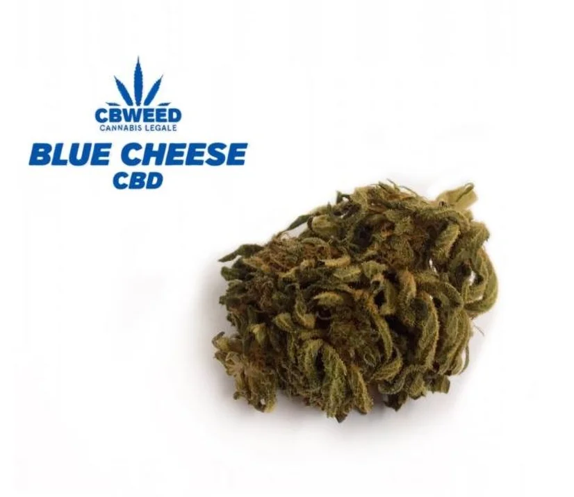 Cbweed Blue Cheese CBD-Blume – 2 bis 5 Gramm