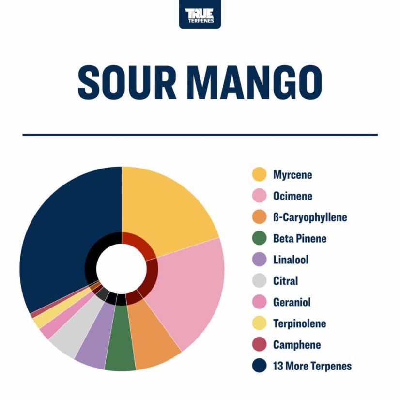 True Terpenes Mango agrio (5 ml - 960 ml)