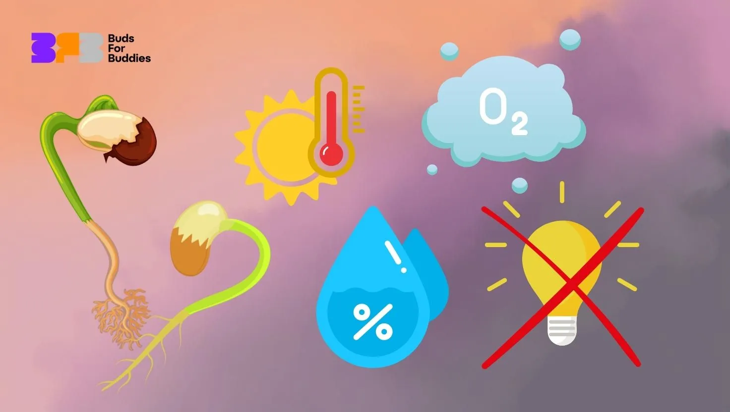 What influences the germination of cannabis seeds?