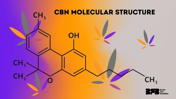 Hvad er CBN, og hvilke virkninger har det?